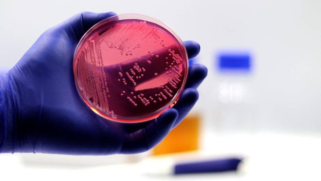 What Causes Candida Parapsilosis? - Overcoming Candida